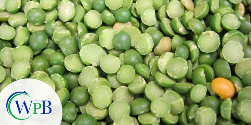 Venta de Arveja Partida por Mayor